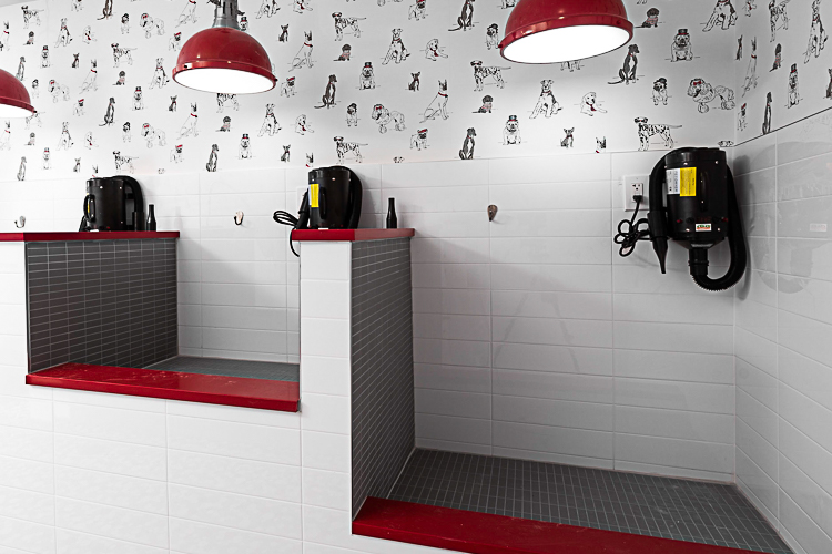 Amenities & Apartment Features | Pleasant View Gardens