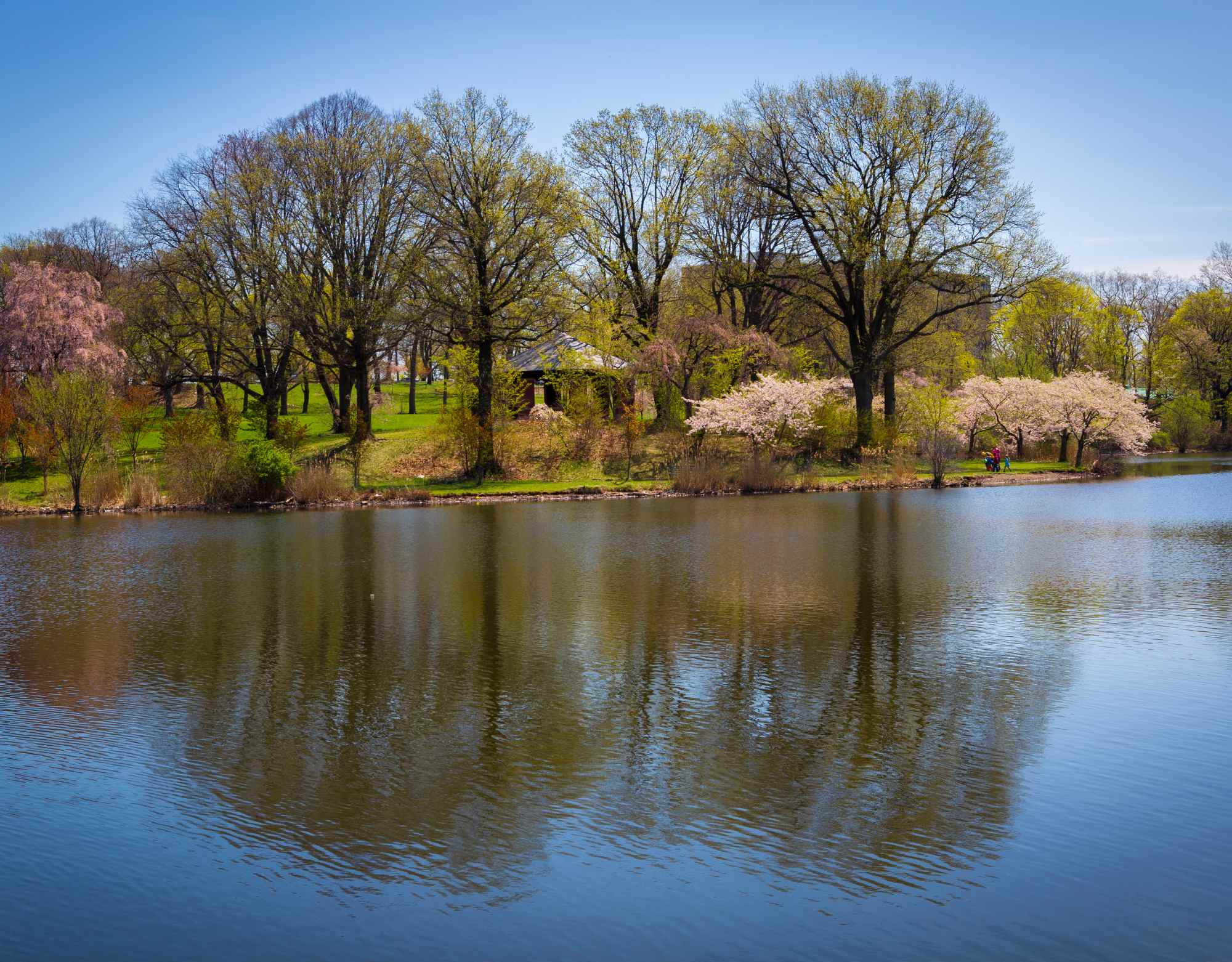 Discover the Magic of Spring: Unveiling Central Jersey's Unmissable Events